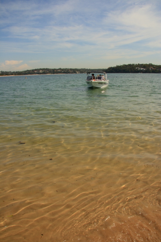 Cabbage Tree Basin, Australia